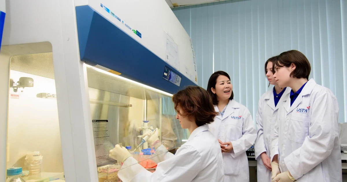 USTH và những ngành học "khó bị thay thế" trong thời đại AI