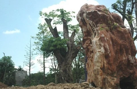 Truyện Ngu Công dời núi và Công Ngu xây núi | Giáo dục Việt Nam